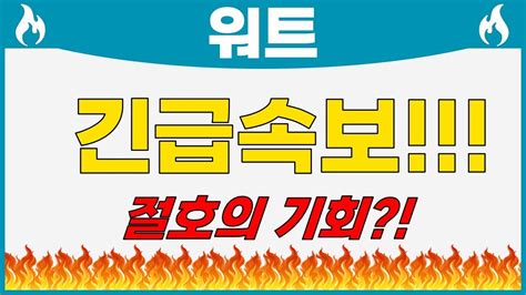 워트 주가전망 26 긴급속보 절호의 기회 Youtube