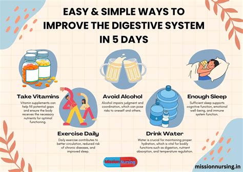 Easy And Simple Ways To Improve The Digestive System In 5 Days