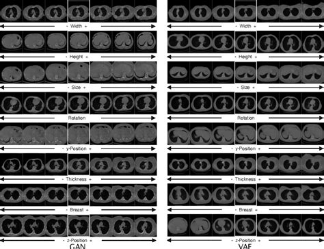 Figure 1 From Interpreting Latent Spaces Of Generative Models For