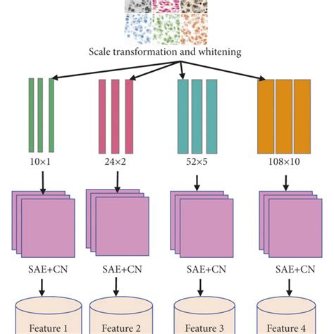 Flow Chart Of The Mpcnn Fast Feature Extraction Method Download