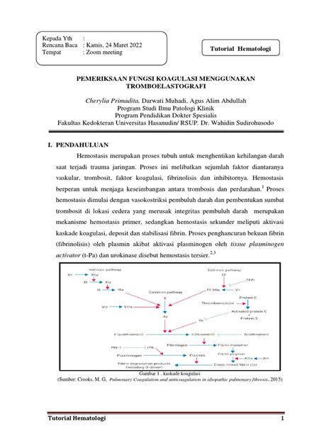 Tromboelastografi Tutorial Pdf