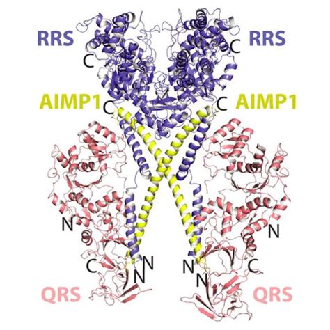ai based drug design aibi