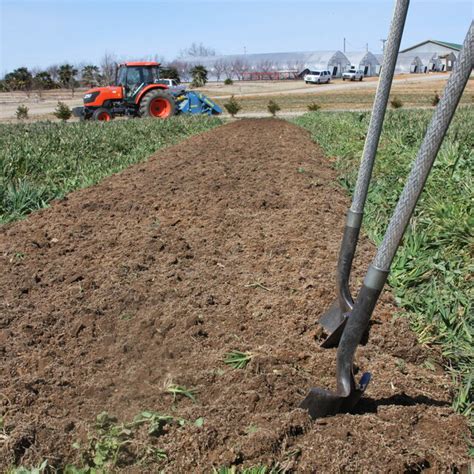 Pdf Mitigation Measures For Preventing Collision Of Birds With Wind Turbines