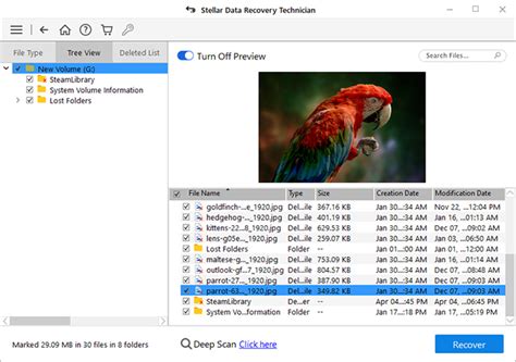 7 Best USB Data Recovery Software In 2024 For Mac Windows
