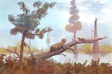 Dicynodon Lacerticeps A South African Dicynodont Living During The