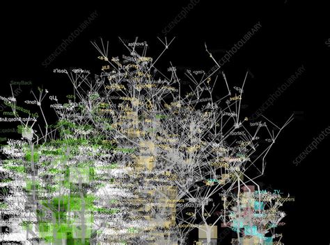 Website Source Code Visualisation Stock Image T Science Photo Library