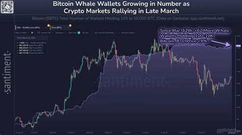 분석 비트코인 고래 7만7500달러 바닥가부터 축적 시작 움직임