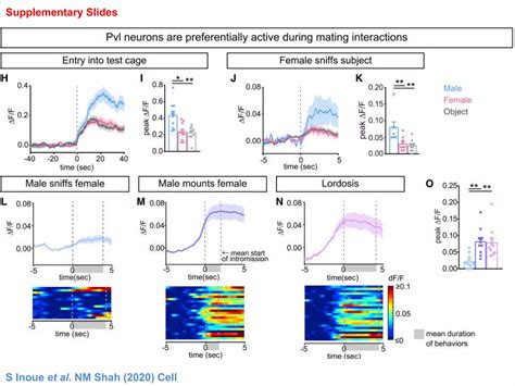 Periodic Remodeling In A Neural Circuit Governs Timing Of Female Sexual Behavior Ppt