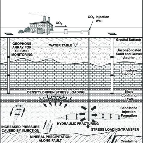 Conceptual Figure Illustrating Some Potential Processes Involved In Download Scientific Diagram