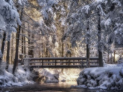 Wallpaper Sunlight Trees Landscape Rock Nature Park Snow