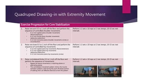 Proximal Stability And Core Rehabilitation Ppt