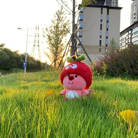 루피 짤 악플달면 쩌리쩌려버려 ＊여성시대＊ 차분한 20대들의 알흠다운 공간