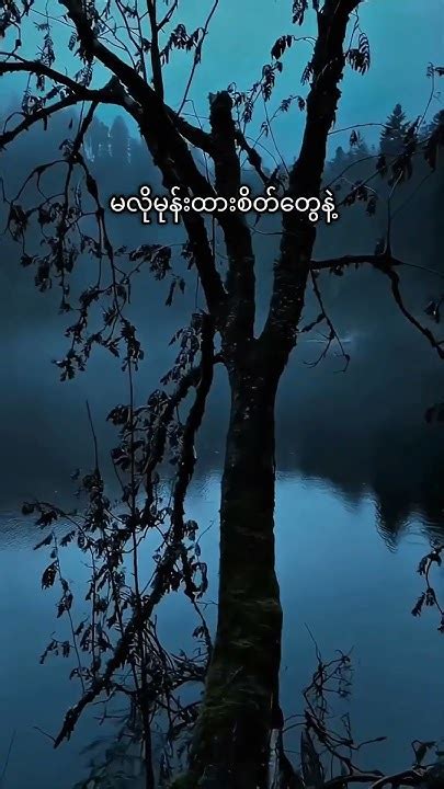 နောင်တရဲ့အဝေးမှာ လွန်းထားထား ဆေးတက္ကသိုလ် Youtube