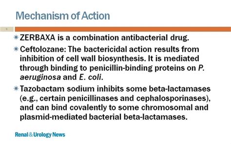 Zerbaxa Ceftolozane And Tazobactam Renal And Urology News