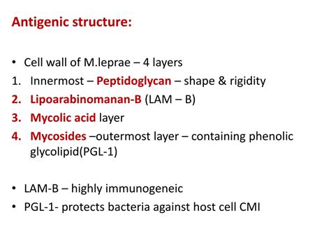Ppt Mycobacterium Leprae Powerpoint Presentation Free Download Id 9636411
