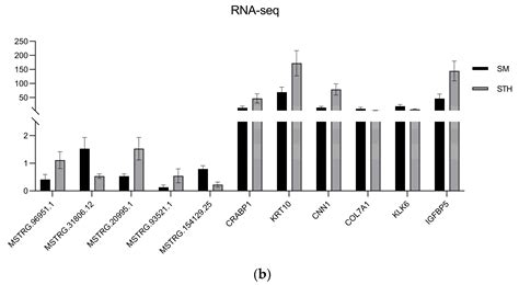 analysis of the long non coding and messenger rna expression profiles
