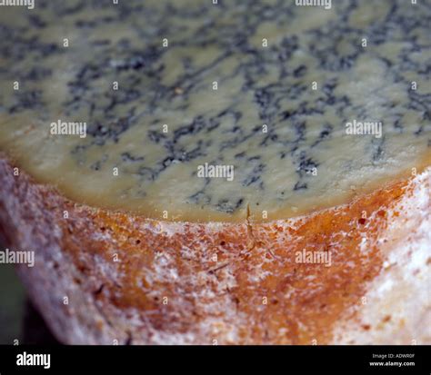 Close Up Of A Freshly Cut Stilton Cheese With Blue Veins And Rind Stock