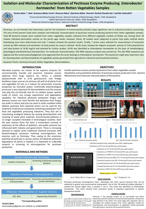 Pdf Isolation And Molecular Characterization Of Pectinase Enzyme Producing Enterobacter