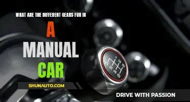 Gaining Speed: Understanding Your Car's Six Gears | ShunAuto