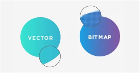 converting between vector and bitmap images retouching labs