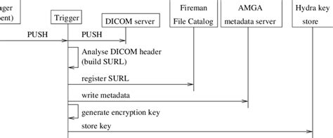 Triggered Action At Image Creation Download Scientific Diagram