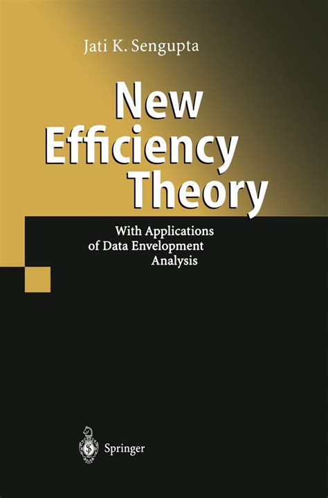 New Efficiency Theory With Applications Of Data Envelopment Analysis