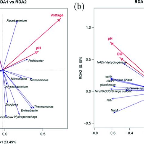 A Redundancy Analysis Rda Showed Correlation Between Functional