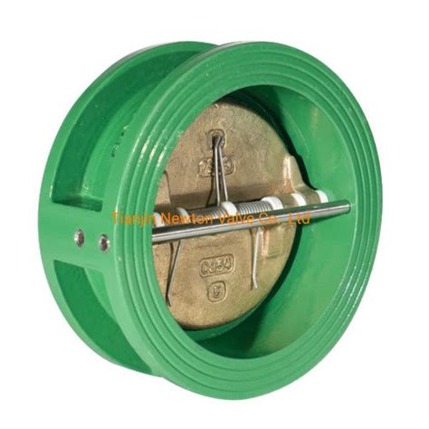 Dual Plate Wafer Type Check Valve At Best Price In Tianjin Tianjin