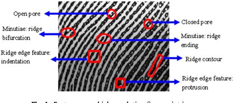 Figure 1 From A Novel Hierarchical Fingerprint Matching Approach Semantic Scholar