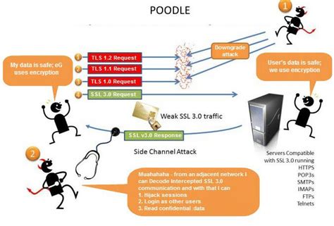 chaitra sampathram on linkedin cybersecurity tls encryption