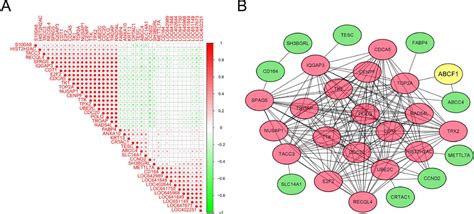 Correlation Analysis And Ppi Results Of Degs A Correlation Analysis Of Download Scientific