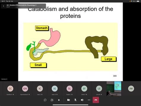 Physio Lecture Flashcards Quizlet Physio Lecture Flashcards Quizlet