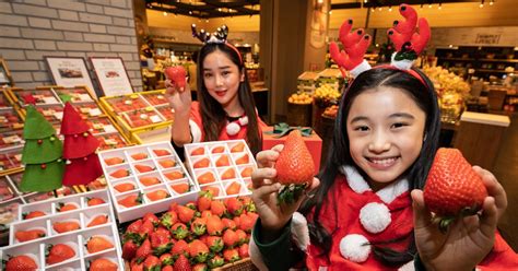 신세계백화점 프리미엄 딸기 선물세트 선보여