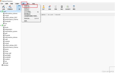 Navicat数据传输 Csdn博客