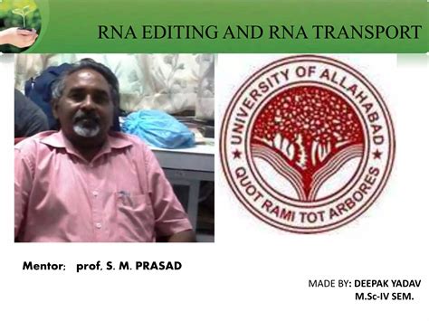 rna editing1 pptx programming languages computing