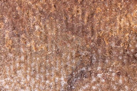 Muted Gradient Background Various Shades Of Green Concept Of Nature And Environmental Muted Gradient Background Various Shades Of Green Concept Of Nature And Environmental