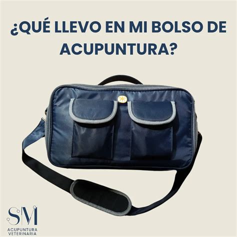 Dra Sofía Márquez Masís Sofiamarquezvet • Instagram Photos And Videos