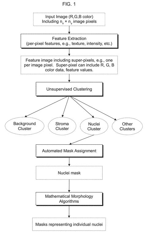 Nuclei Segmentation Patented Technology Retrieval Search Results