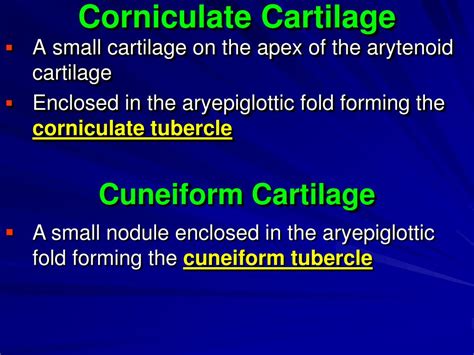Ppt The Larynx Powerpoint Presentation Free Download Id 5370322