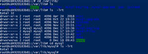 Docker For Windows Mount Directory Is Coming Empty Stack Overflow