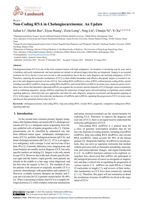 Pdf Non Coding Rna In Cholangiocarcinoma An Update