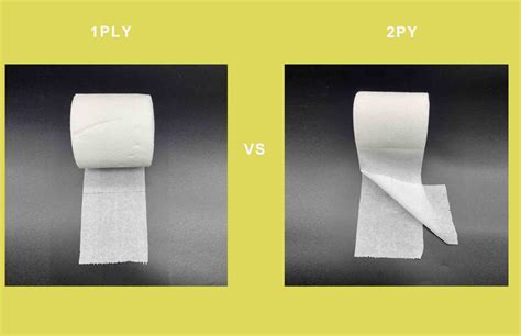 One Ply Vs Two Ply Toilet Paper