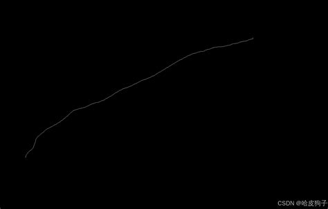 世界上最好用的骨架提取算法！！！skimage 生成骨架算法 Csdn博客