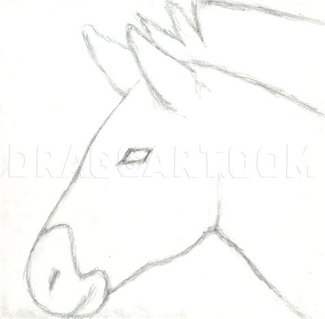 How To Draw A Zebra Easy Step By Step Infoupdate Org