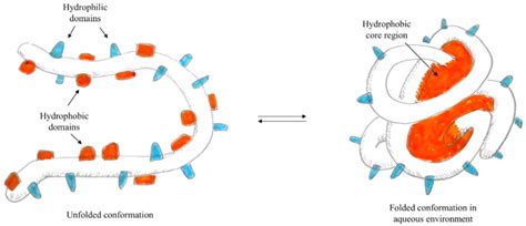 Schematisation Of Protein Self Assembly Download Scientific Diagram