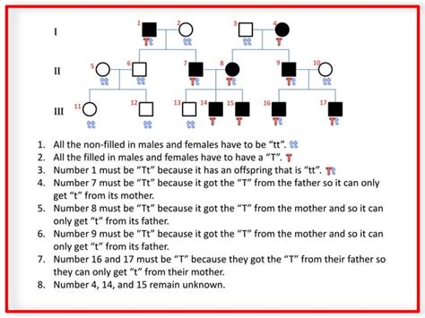 Pedigree Basics Pptx Genetics Science