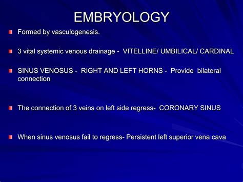 Cardiac Venous System Pptx