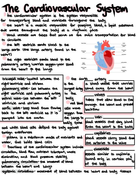 SOLUTION The Reproductive System Notes Studypool SOLUTION The Reproductive System Notes Studypool