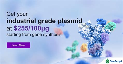 Genscript On Linkedin Starting At 255 Plasmid 🤩 Accelerate Your Antibody And Protein…