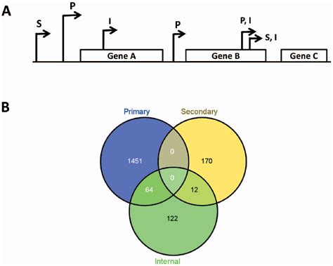 Figure 1 From The Primary Transcriptome Of Salmonella Enterica Serovar